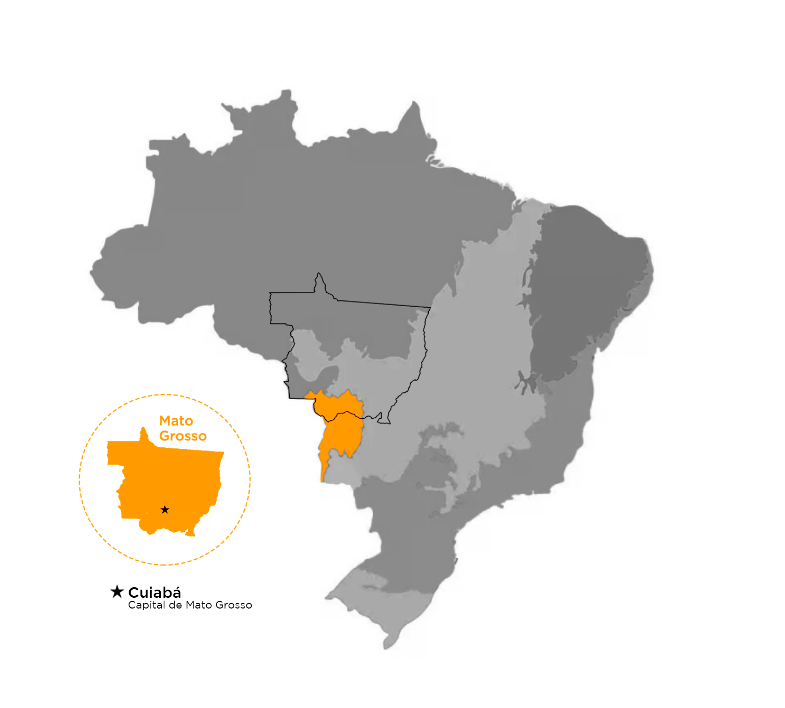 Pantanal - Pantanal Explorer