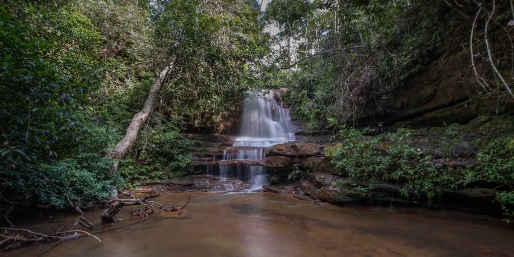 Amazônia, Cerrado e Pantanal - Pantanal Explorer
